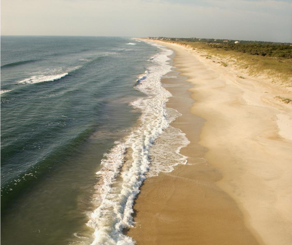 31 Day Plastic Free July Challenge!! – Yana Timber Practice